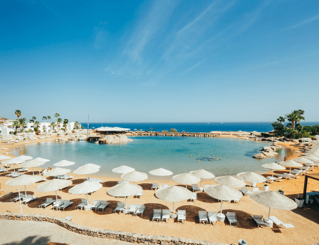 Properties | Seqoon